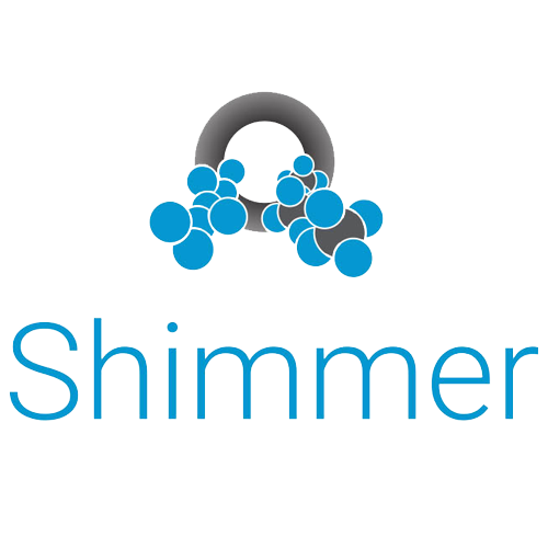 Launch of the EU funded project SHIMMER: Safe Hydrogen Injection Modelling and Management for ...