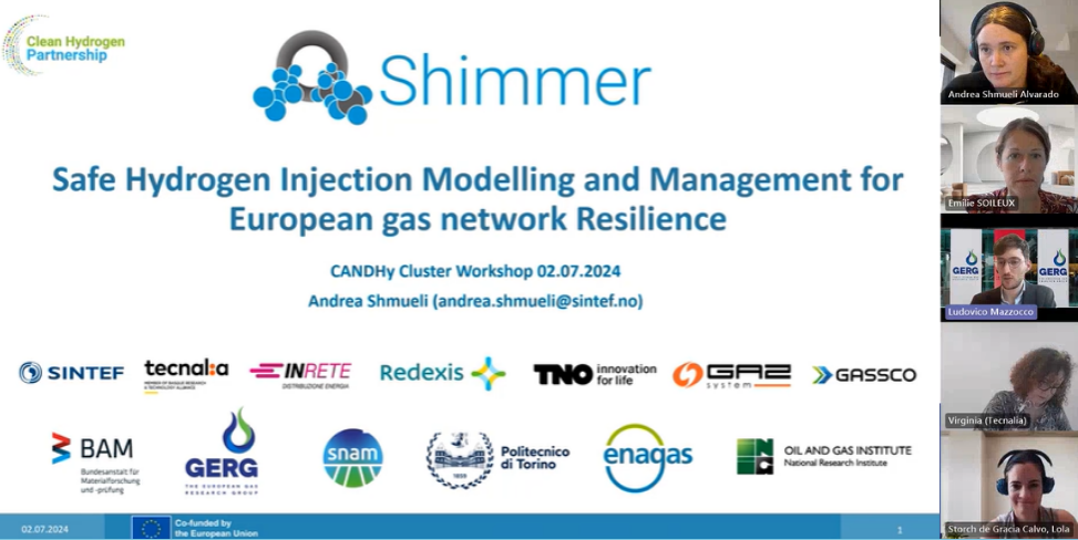 SHIMMER featured in the "1st CANDHy Cluster Workshop" - Shimmer Project